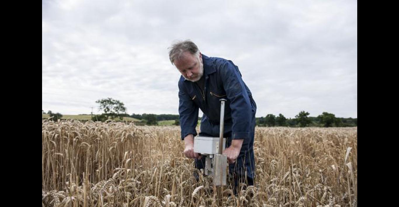 Rothamsted offering UK farmers a chance to test their own theories ...