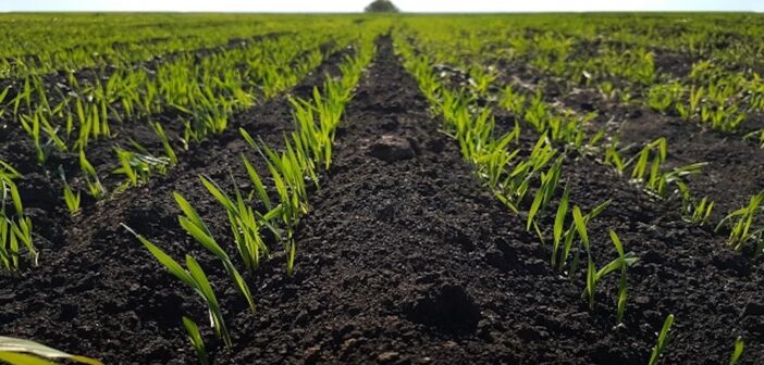 Annual national soil summary shows nutrient deficiencies across two ...