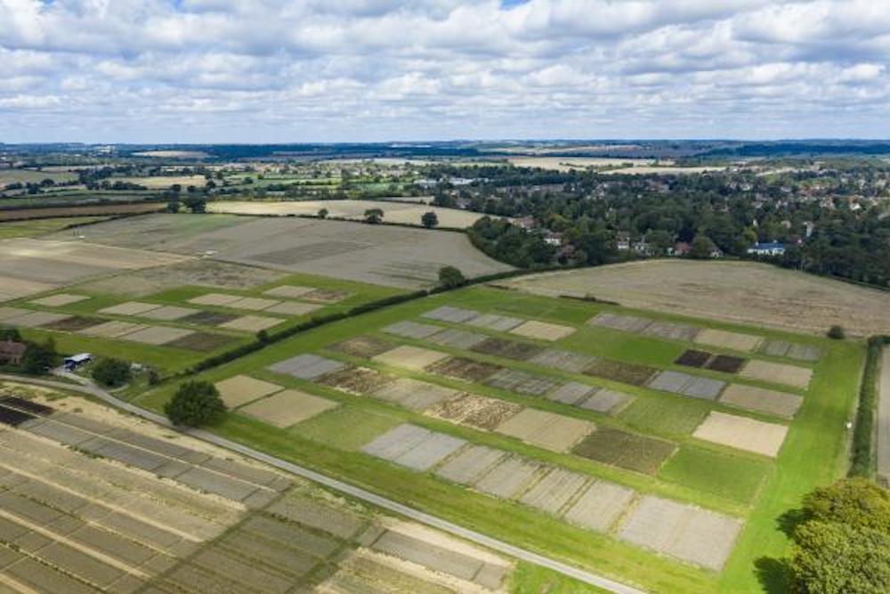 Experiments at Rothamsted shed light on potential impacts of ...